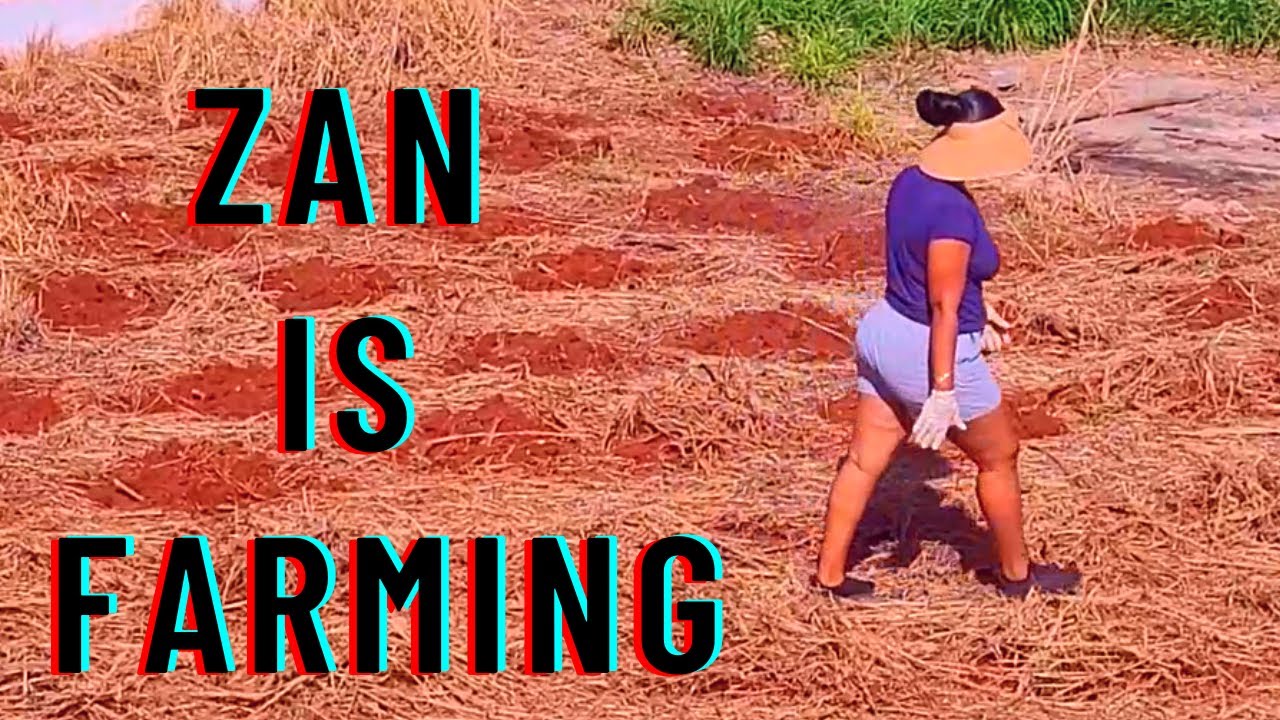 ZAN IS FARMING BIG TIME!!! ||LIVING A SIMPLE LIFE IN THE COUNTRY ...