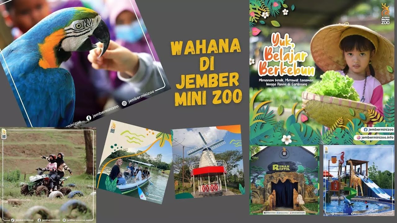 Jember Mini Zoo Terbaru - Tempat Wisata & Edukasi terlengkap - Update ...