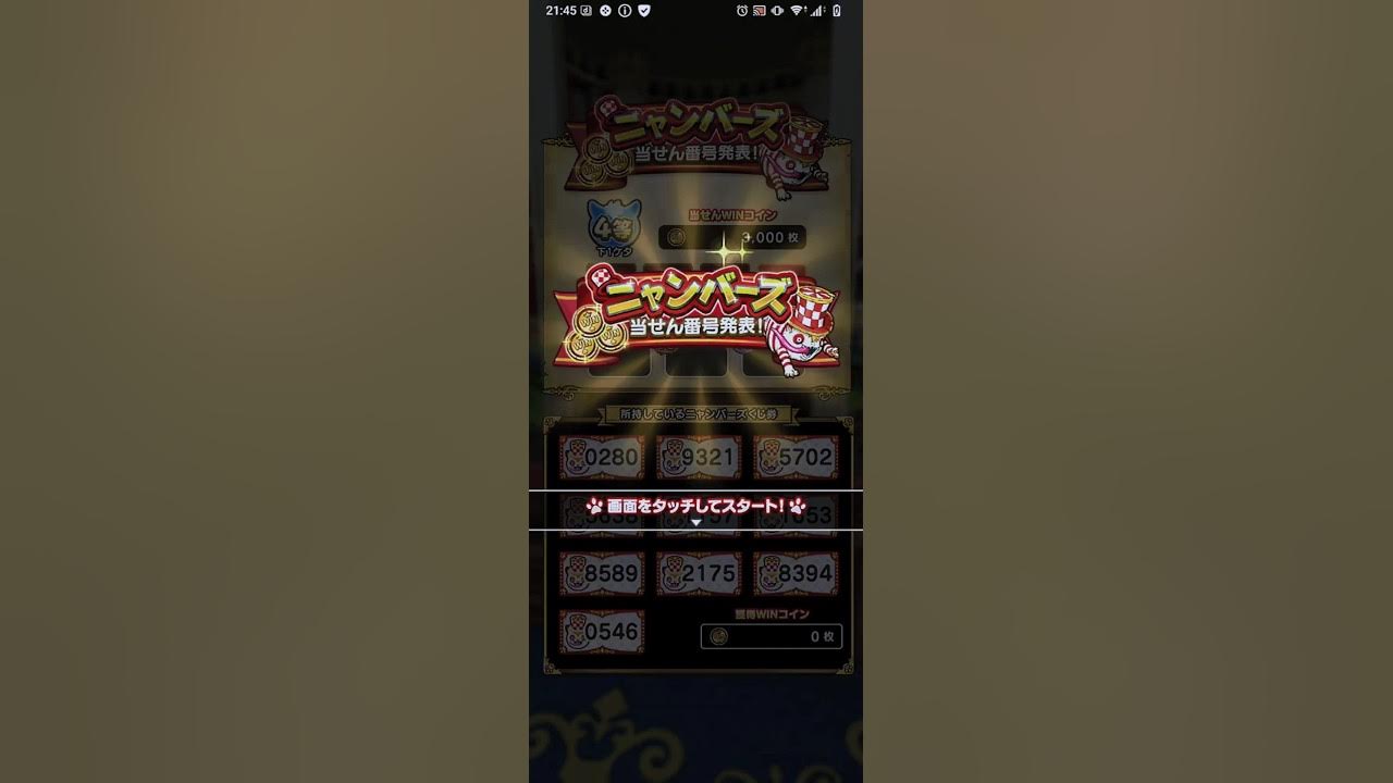 【DQW】2025 年明け最初の運試しニャンバーズ - YouTube