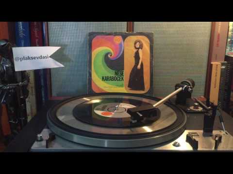 Neşe Karaböcek - Koca Dünya (Plak Kaydı)