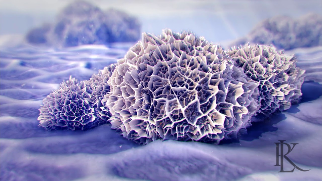 Animation Explaining Functionalized Tricalcium Phosphate Technology ...