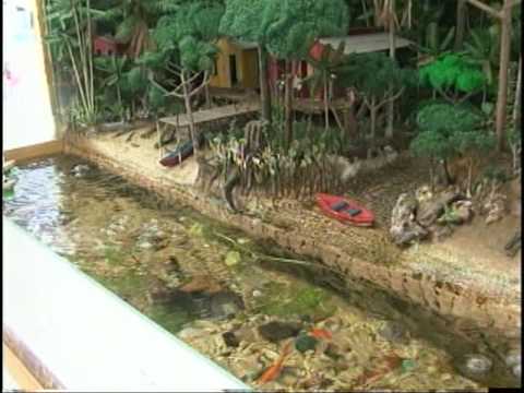 Karipí Aquário Arte - Ney Bastos - YouTube