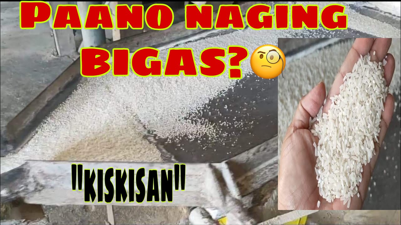 Rice mill in Philippines/Actual rice milling/Kiskisan/Paano naging ...