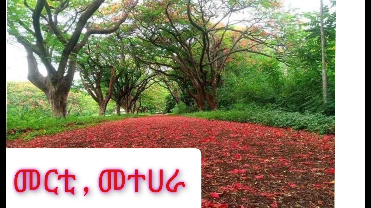መርቲ , መተሀራ |merti methara 📍ETHIOPIA የመርቲ ልጆች የት ናቹ? - YouTube