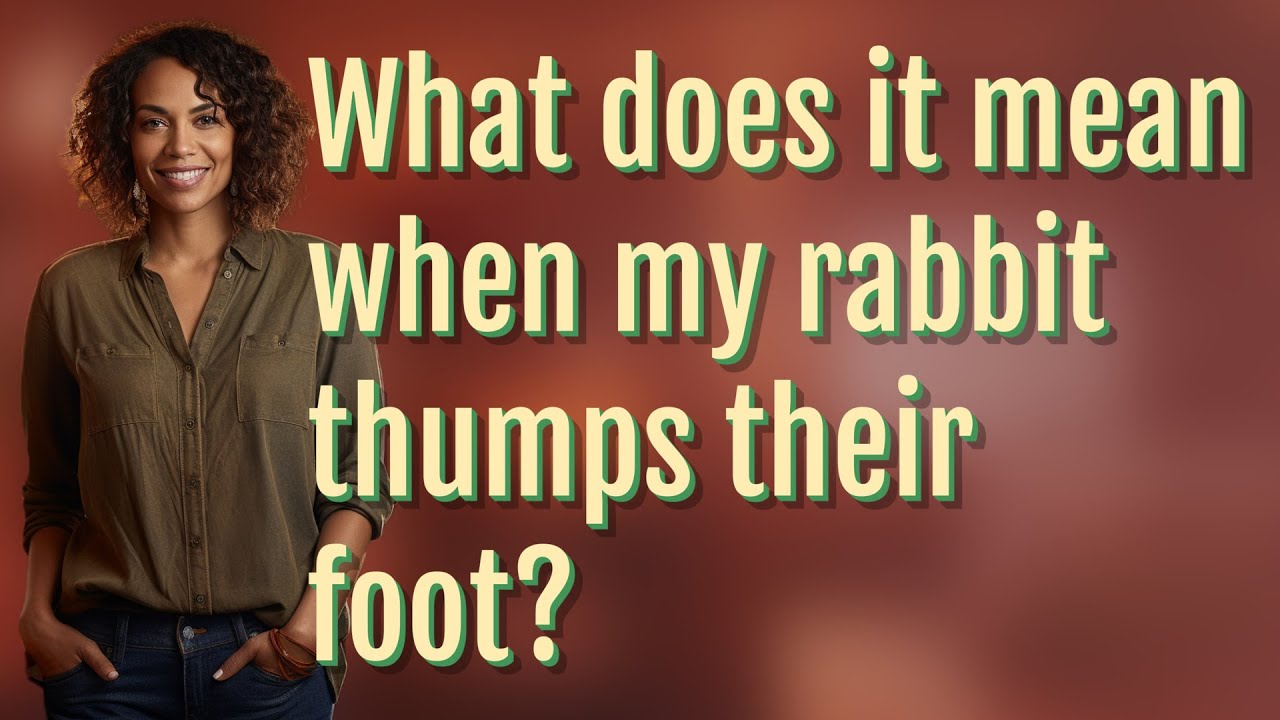 What does it mean when my rabbit thumps their foot? - YouTube