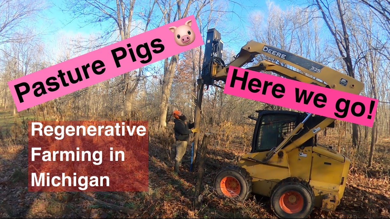 Setting up infrastructure for the pasture pig operation! - YouTube