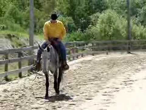 Magnums Miss Jody Ann and Jonathan Waugh - YouTube