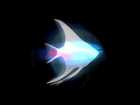 koronba - A Fish's Night of Nocturnal Dreaming - YouTube