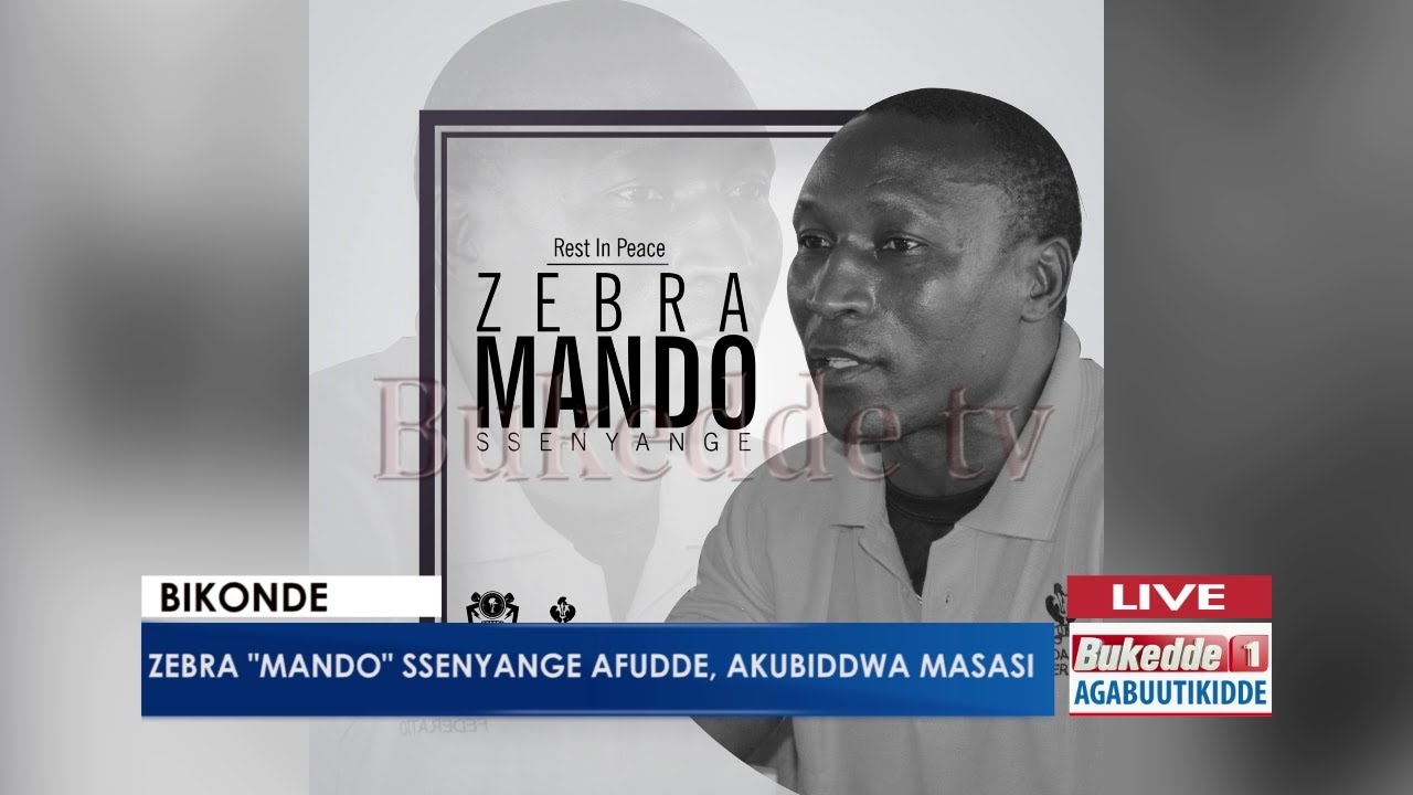 Agabuutikidde: Zebra "Mando" Ssenyange afudde, akubiddwa amasasi. - YouTube