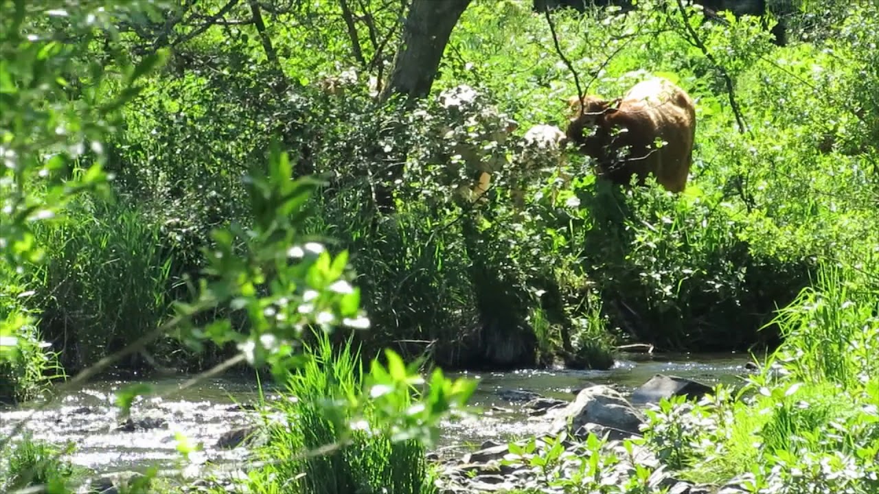 Inverkeithny to Haddo Bridge 31st May 2020 - YouTube