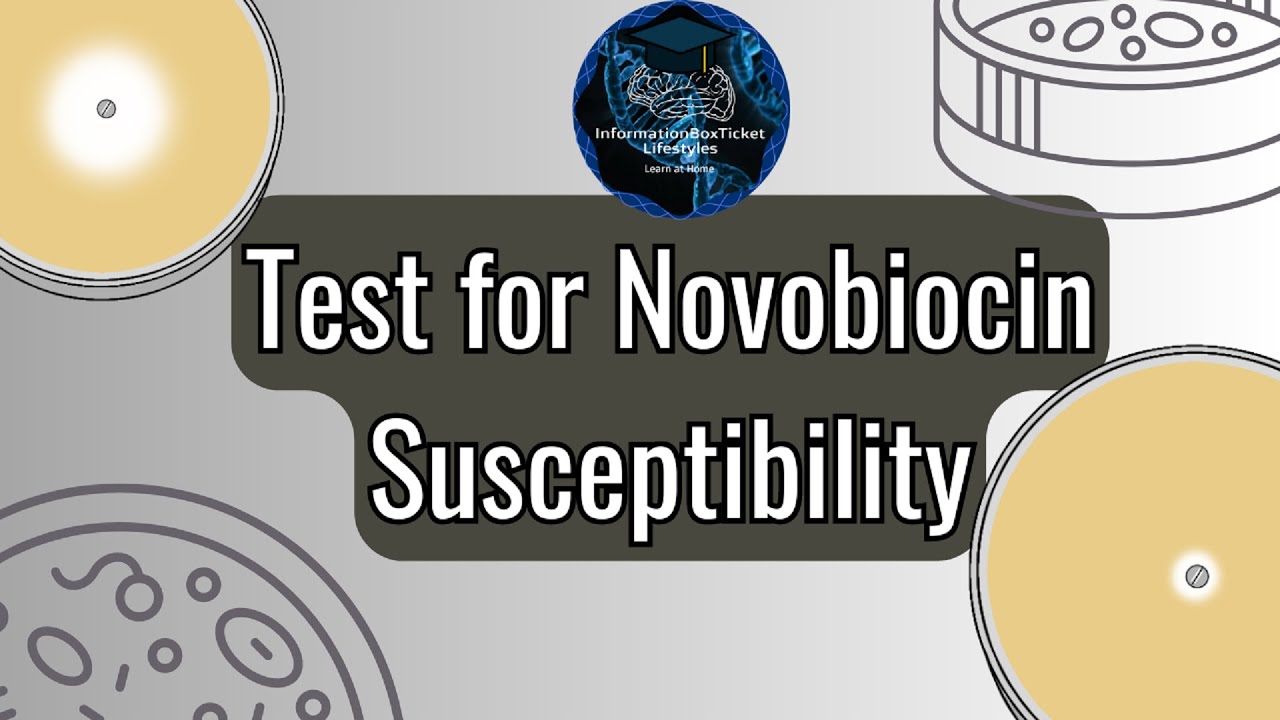 Test for Novobiocin Susceptibility: Principles, Methods & Results ...