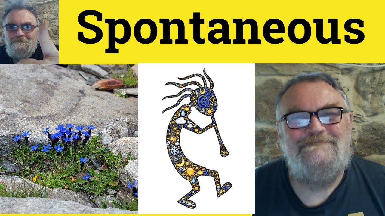 😎 Spontaneous Meaning - Spontaneity Examples - Spontaneous Defined ...