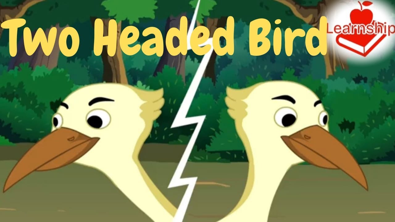 Two-Headed Bird Story | moral stories in english | cartoon - YouTube