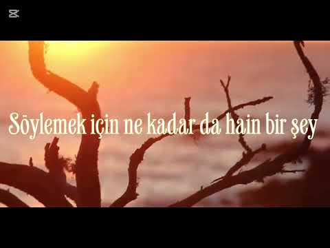 Wicked game gitar intro+ Türkçe çeviri. (İlk uzun video. ) #keşfet #gitar #guitar #lyrics #çeviri