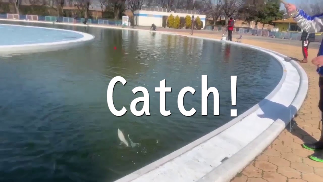 Pool fishing at Kawagoe Water Park; one of Saitama's four major water ...
