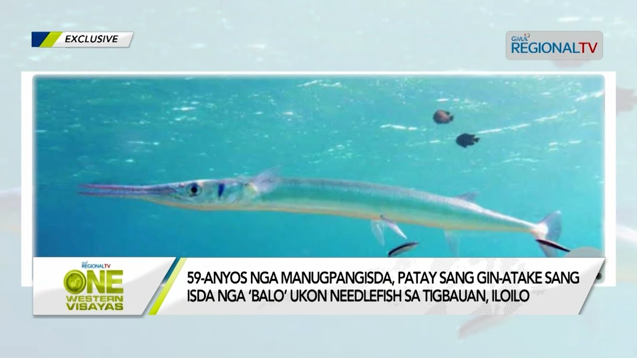 One Western Visayas: Manugpangisda, patay sang gin-atake sang isda nga ...