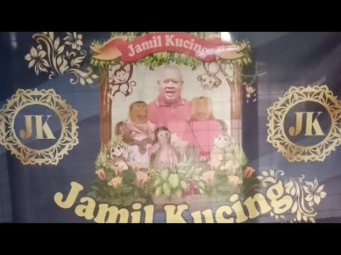 Cooking For Jk Family - YouTube