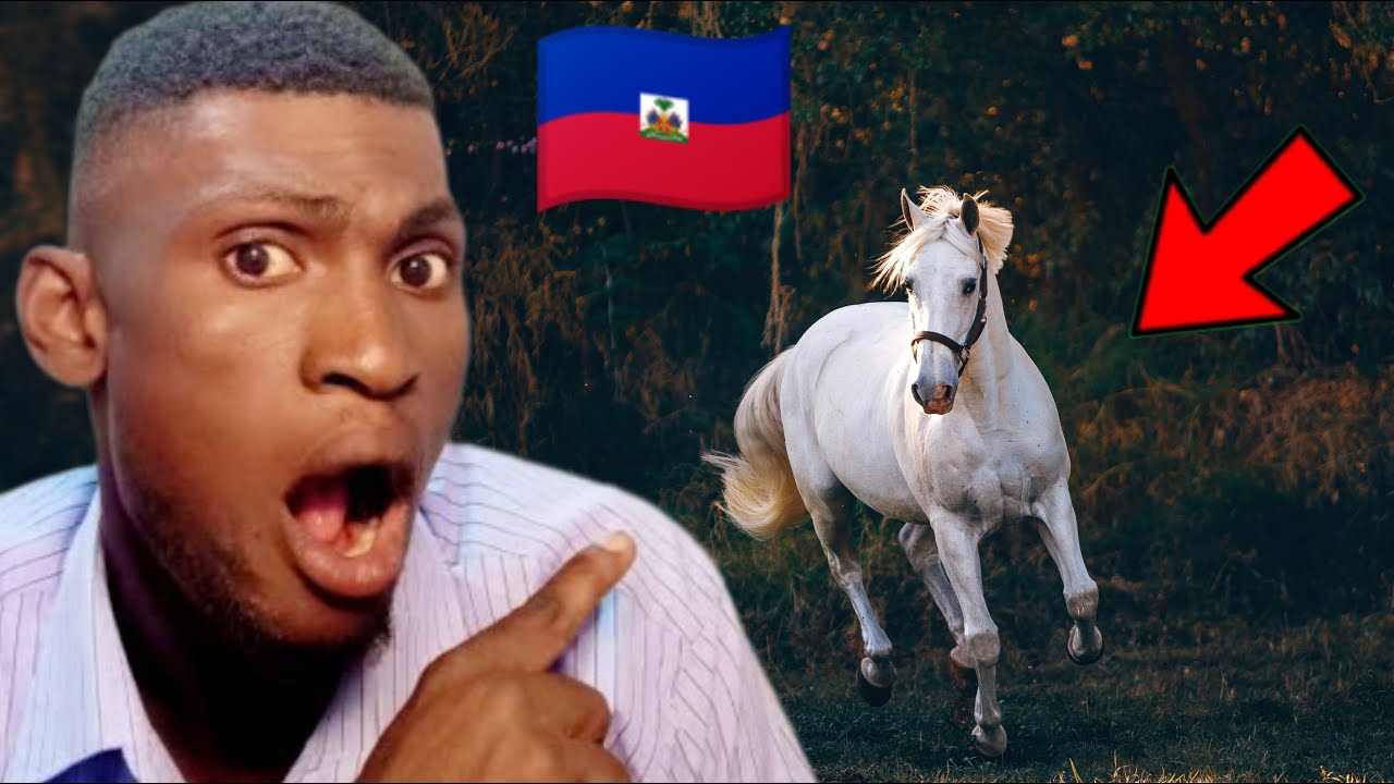 Lèw reve cheval me kisa li vledi 💯 me tout sinifikasyon li genyen fr ...