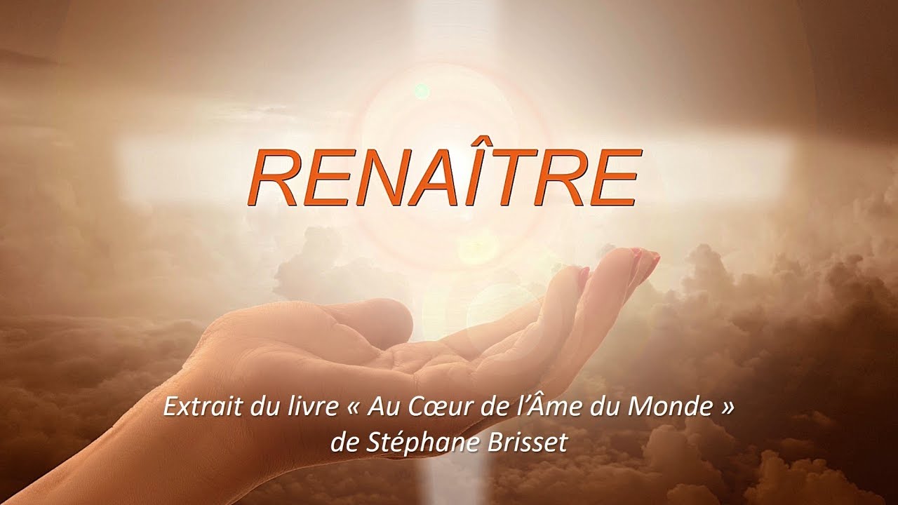 RENAÎTRE - Stéphane Brisset - YouTube