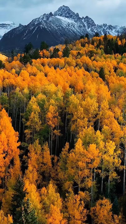 «Человек всё делает наоборот…» — Пауло Коэльо - «Подобно реке» #jandro ...