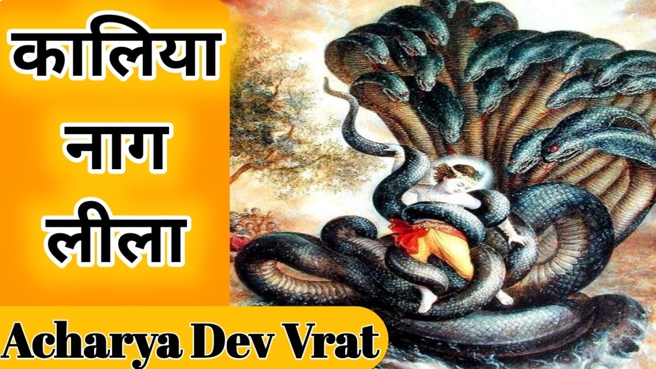 Kaliya Naag Leela - Acharya Dev Vrat - YouTube