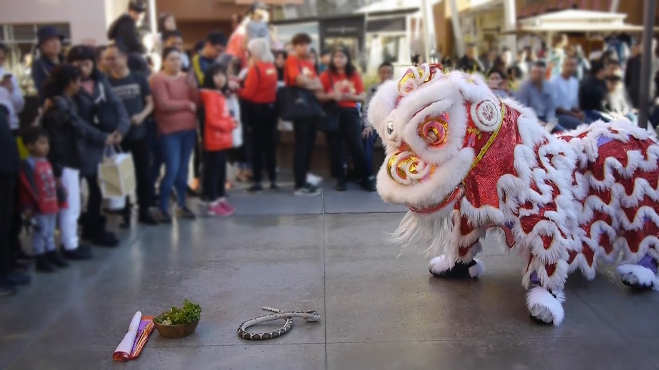Lion Dance Snake Skit - YouTube