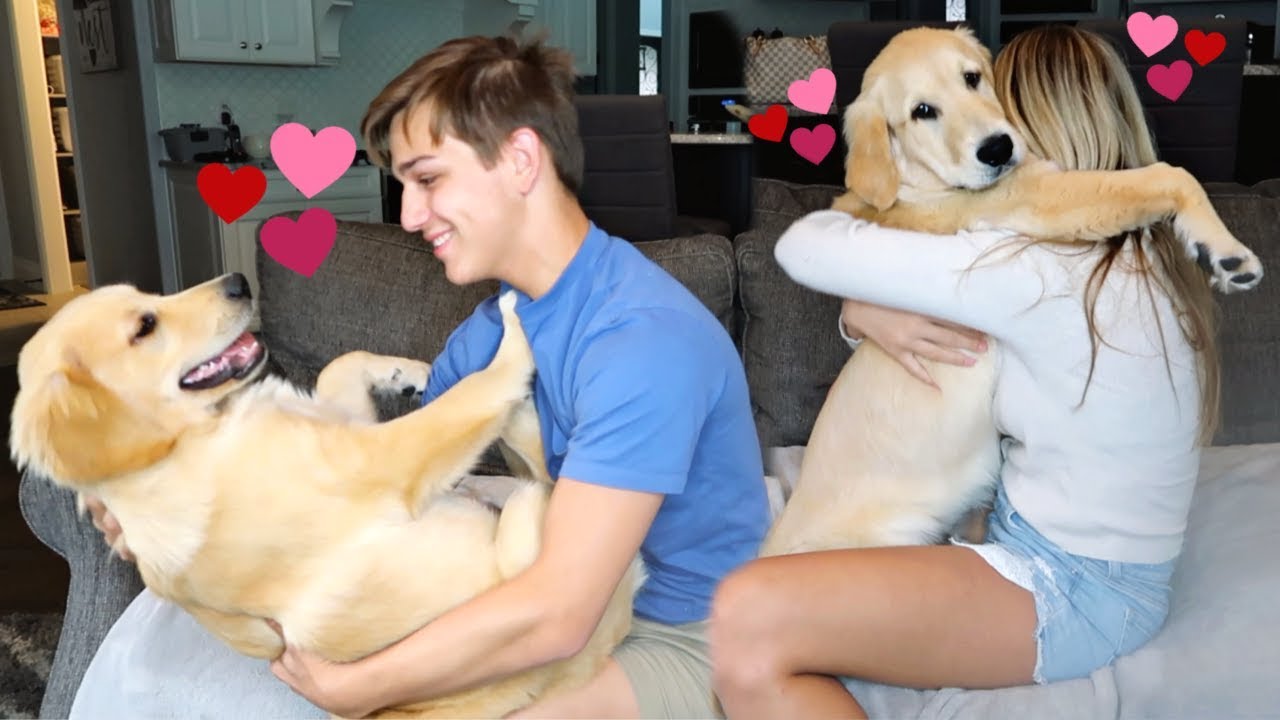 Hugging my Dogs for Too Long with FUNNY COMMENTARY! - YouTube