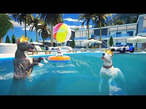 PİTBULL AİLESİ 1 GÜN BOYUNCA KRALLAR GİBİ EĞLENİYOR! - GTA 5
