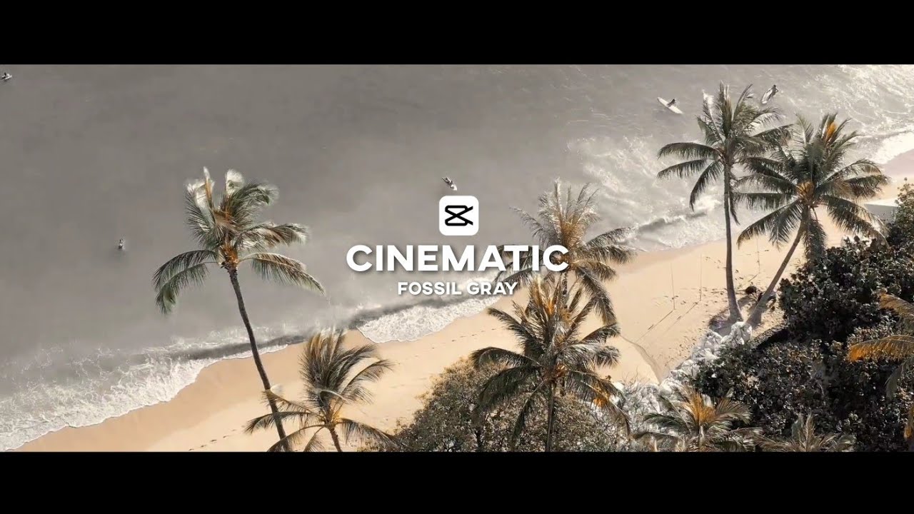 How to Edit Cinematic Fossil Gray | CapCut | Color Grading - YouTube