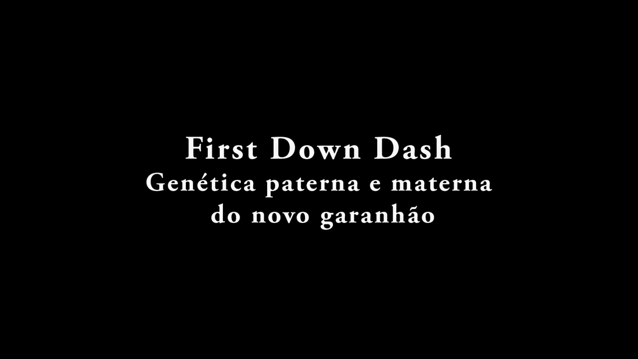 First Down Dash - YouTube
