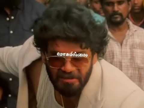 Coolie Simon whatsapp status | Sonniya sonniya song whatsapp status |instagram trending song