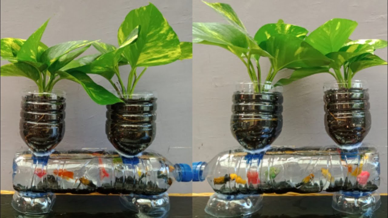 Cara Membuat Pot Bunga dan Aquarium dari Botol Plastik. - YouTube
