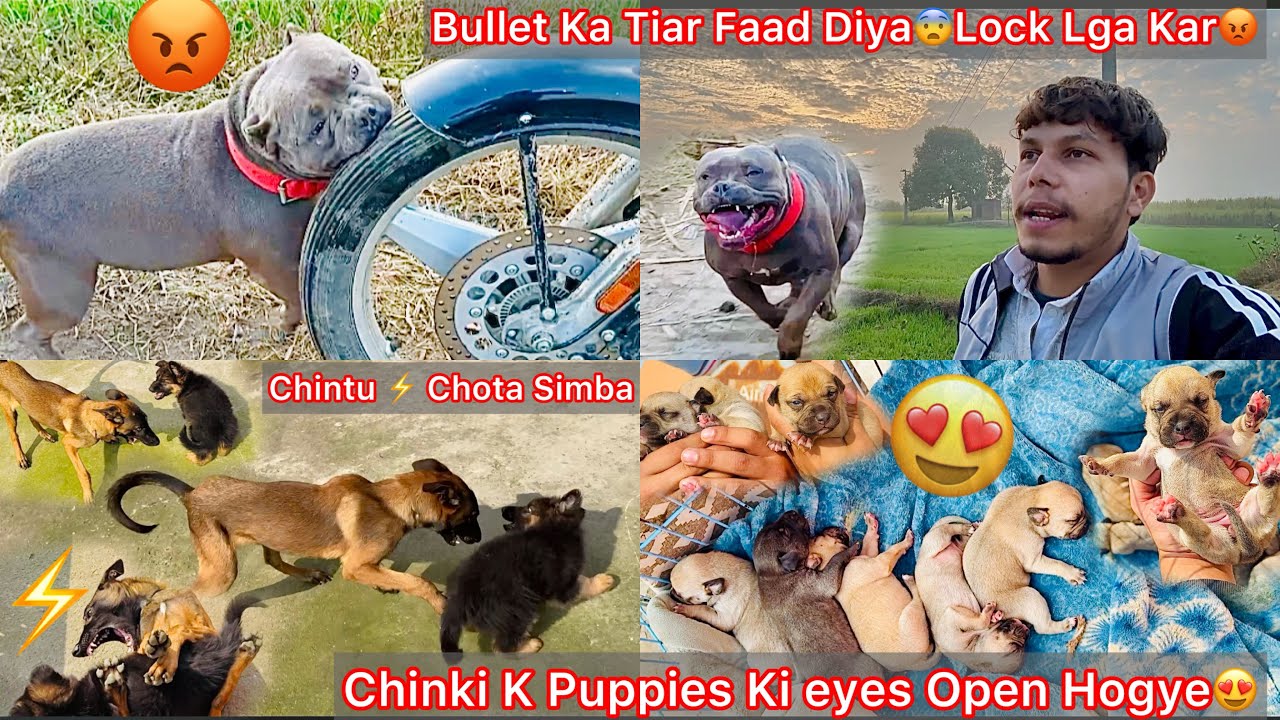 Coco N Bullet K Tair Par Lock Lga Diya🔒Tair Fad Diya😰Chintu Vs Chota ...