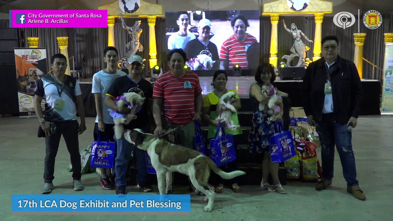 17th LCA Dog Exhibit - YouTube