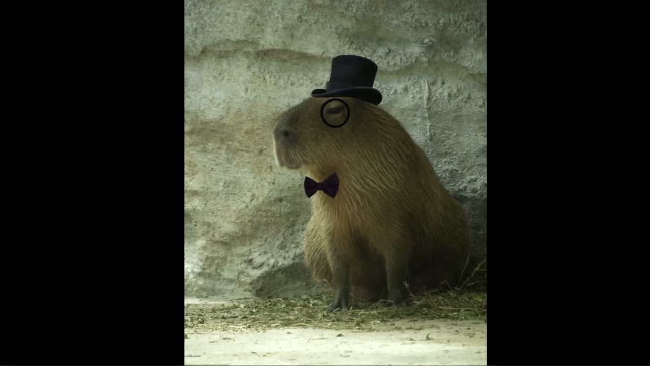 death by capybara - YouTube