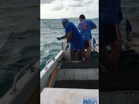 Fishing in the Torres Strait Island 🌴 - YouTube