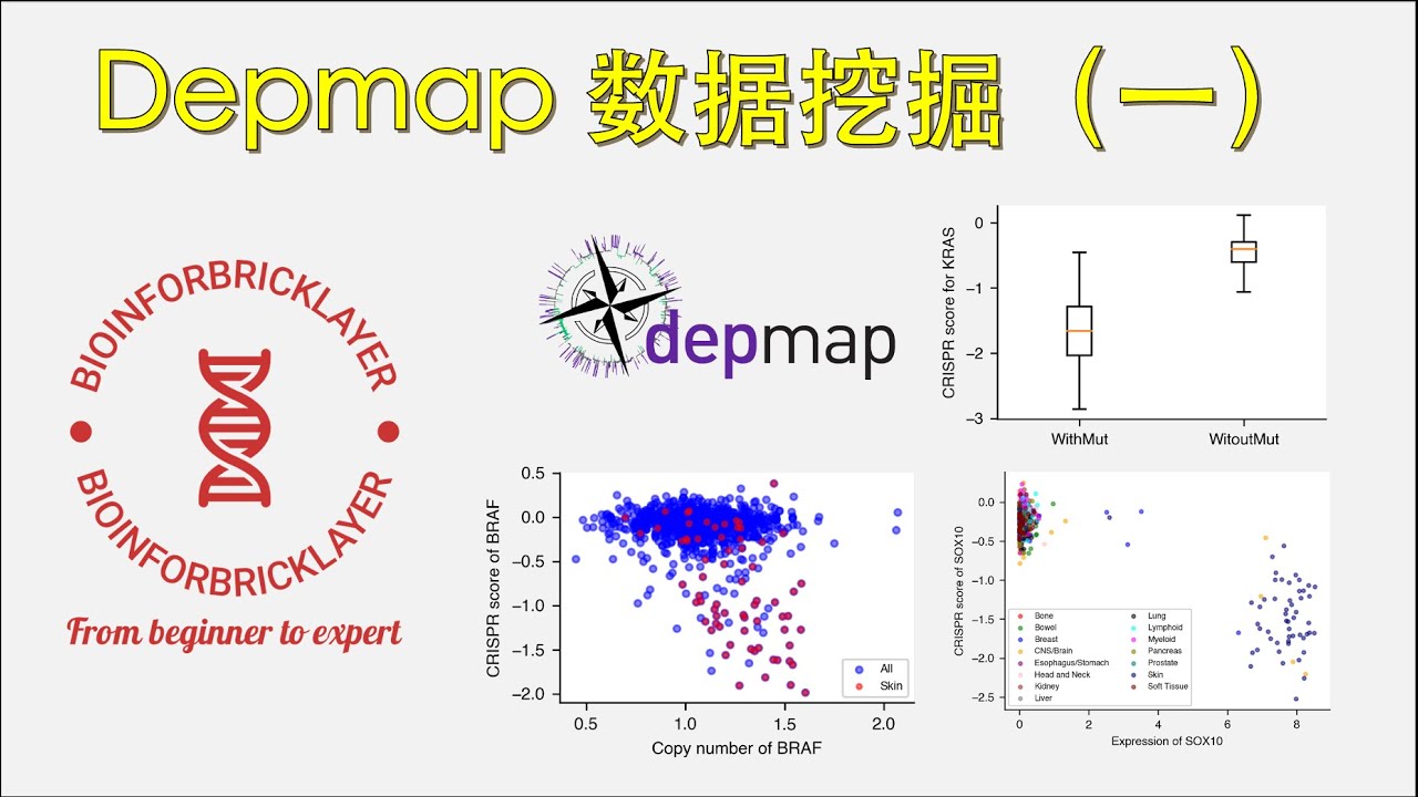 【生信进阶之路｜资源篇02】Depmap 数据库挖掘（一） - YouTube