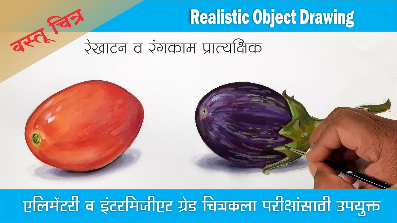 Object Drawing Tomato and Brinjal, Realistic Object Drawing, वस्तू ...