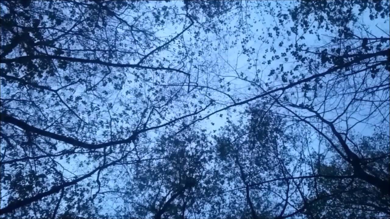 Cloverfield.mp4 Teaser Trailer-Fan Film - YouTube