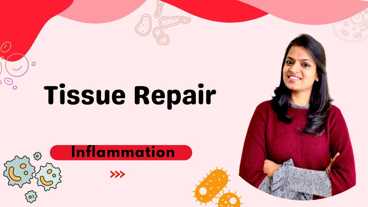 Tissue Repair and Wound Healing - YouTube