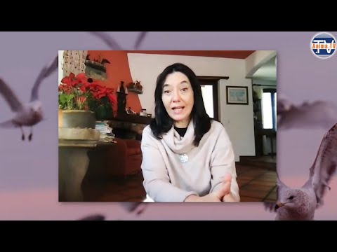 Selene Calloni Williams – Promo: La Meditazione degli Uccelli - YouTube