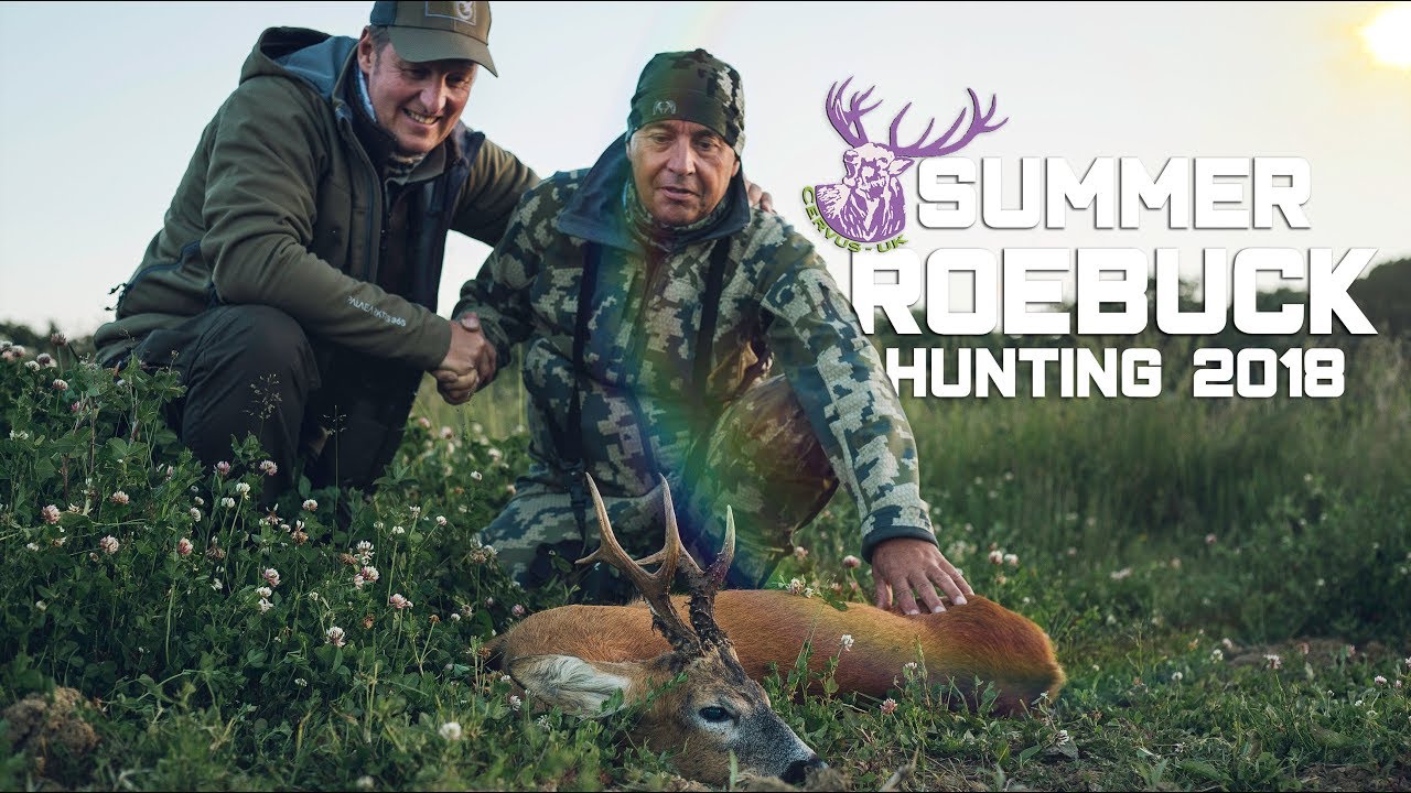 SUMMER ROEBUCK HUNTING | 2018 - YouTube