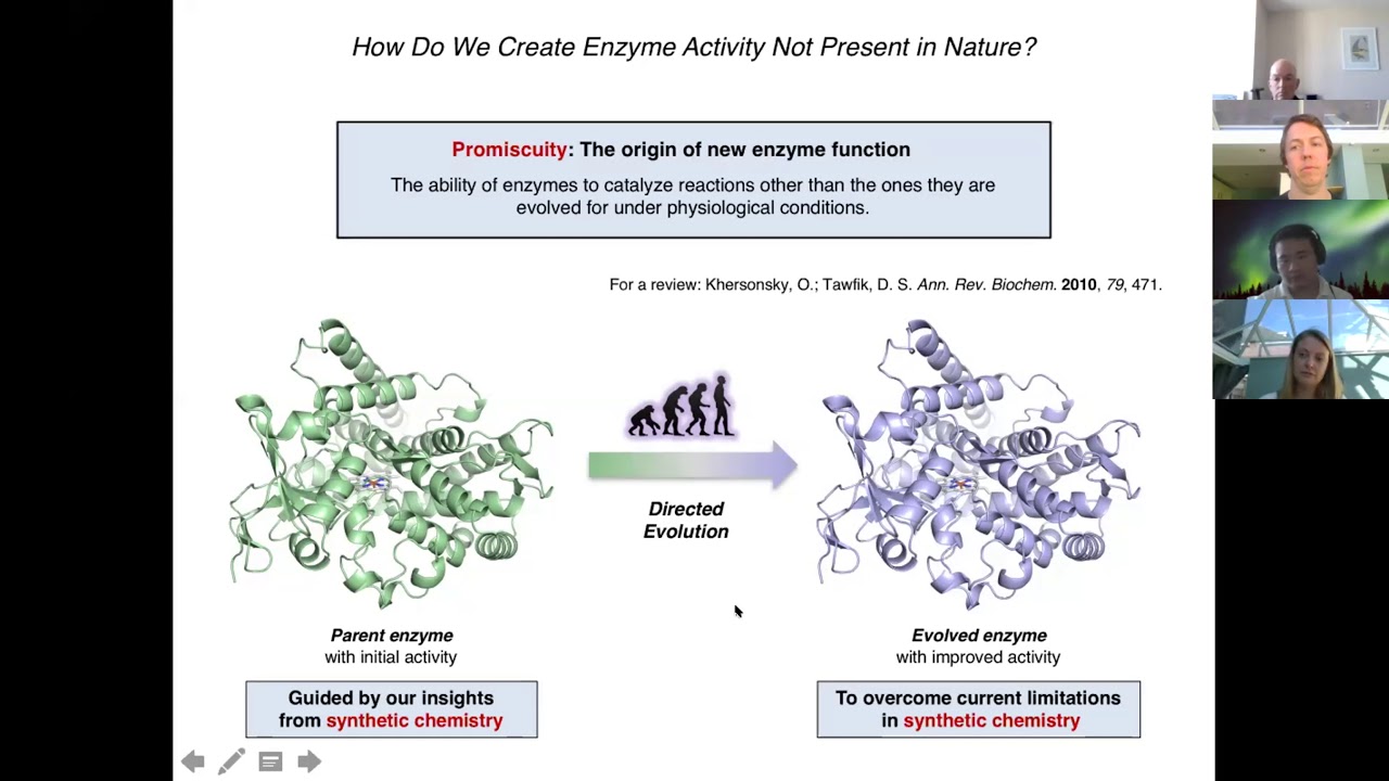 Directed Evolution of Cytochrome P450 Enzymes for the Asymmetric Amination of C(sp3)-H Bonds ...