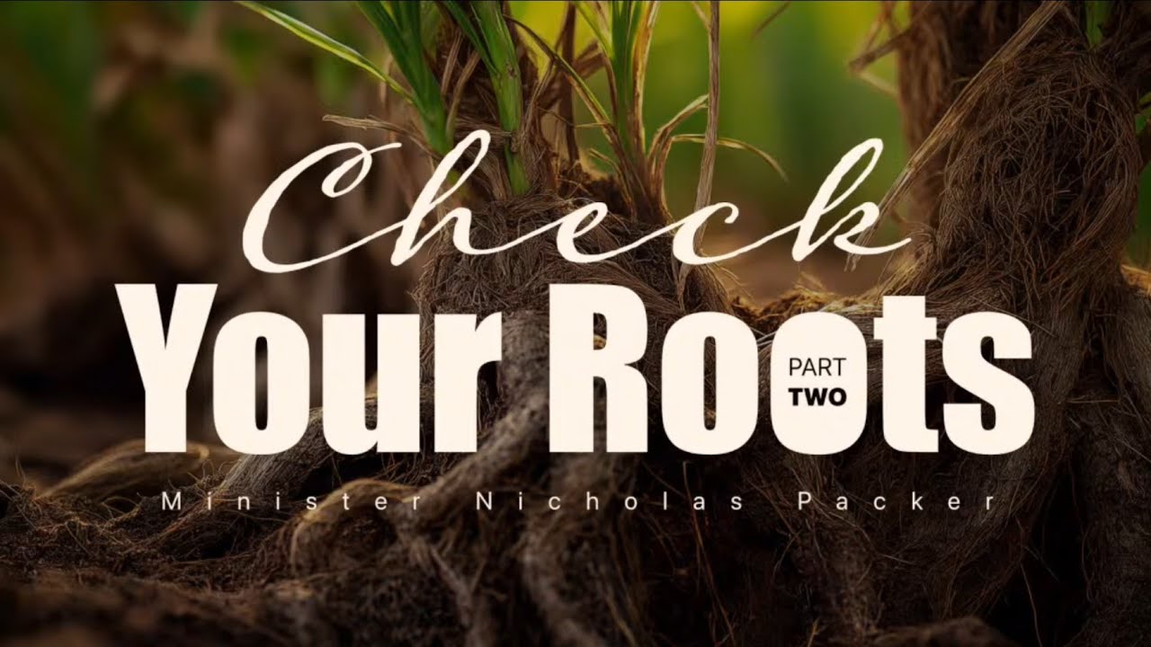 Check Your Roots Part 2 - YouTube