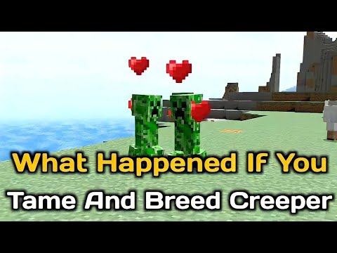 How To Tame And Breed Creepers In Minecraft PE? - YouTube