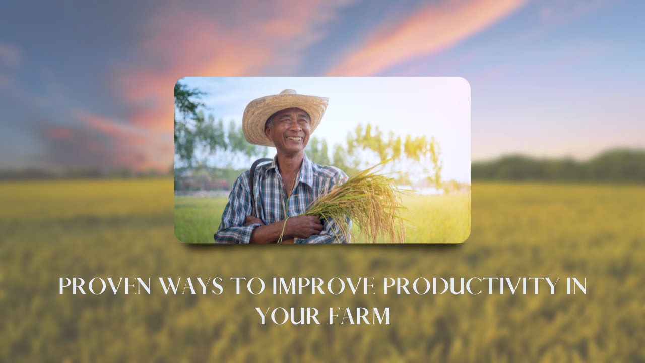 TOP 10 Proven methods to improve farming productivity | Farming tips ...