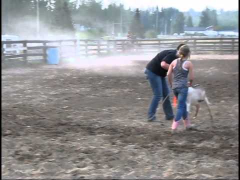 Prince George Little Britches Rodeo - YouTube