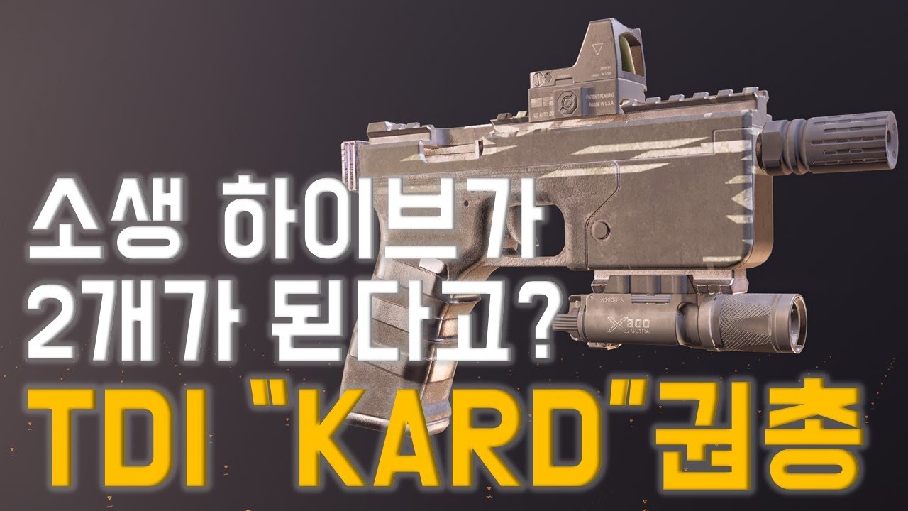 디비전2 소생 하이브 두개 쓰는 방법 TDI "KARD" 권총 한번 써보세요 - YouTube