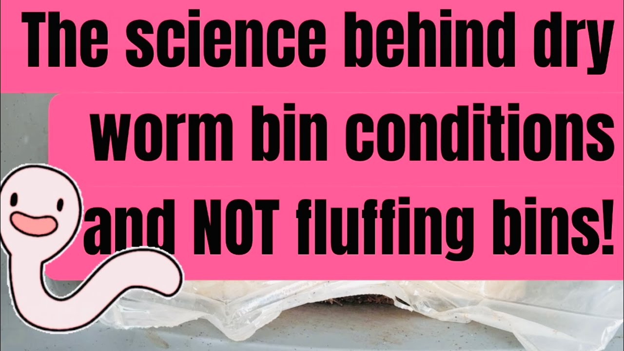 The science behind dry worm bin conditions and NOT fluffing a worm bin ...