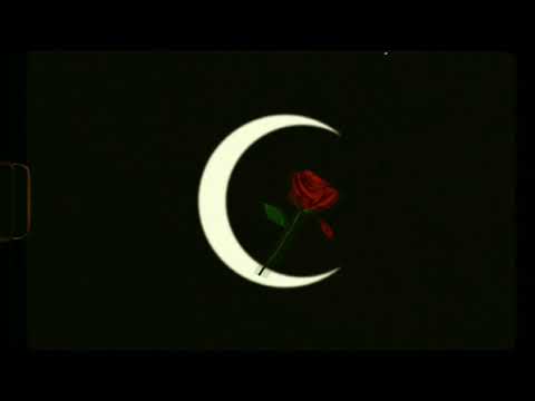 🥀🎵Whatsapp statusları menalı statuslar status üçün vidolar qemli whatsapp statusları2021